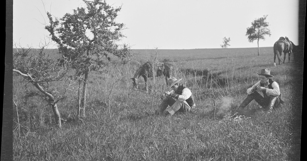 A couple of cowhands and their mounts take a few minutes off for eating ...
