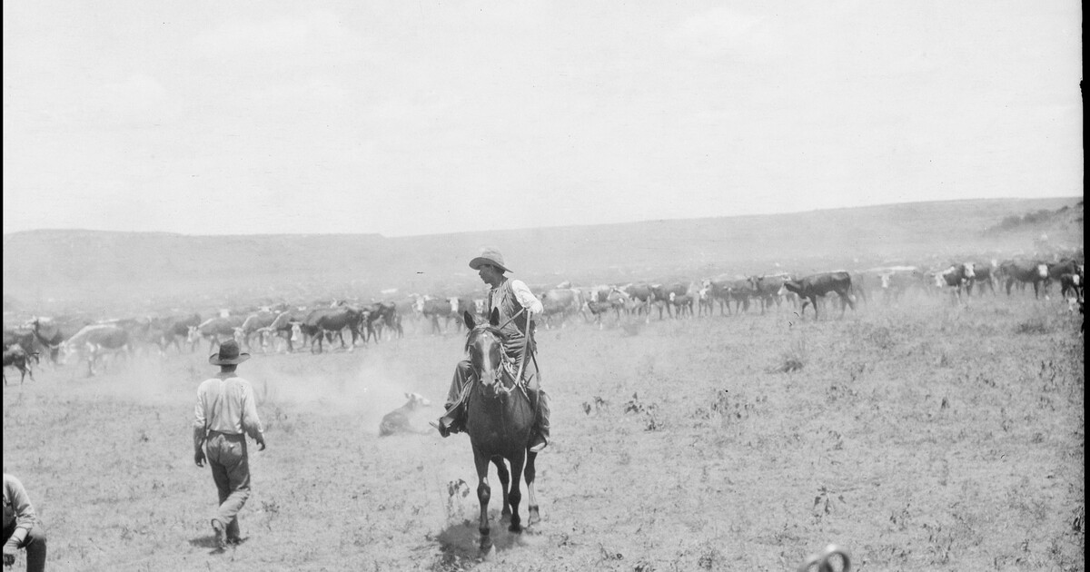 Branding scene. Spur Ranch, Texas. | Amon Carter Museum of American Art