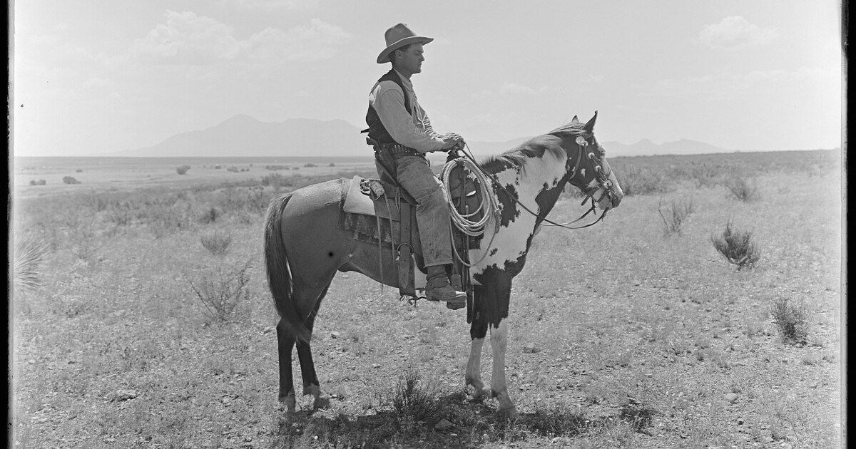 An old style cowpuncher wearing sixshooter and mounted on a paint pony ...