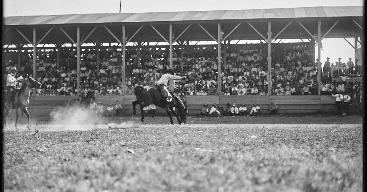 A rodeo contestant riding a pitching horse at the rodeo grounds of San ...