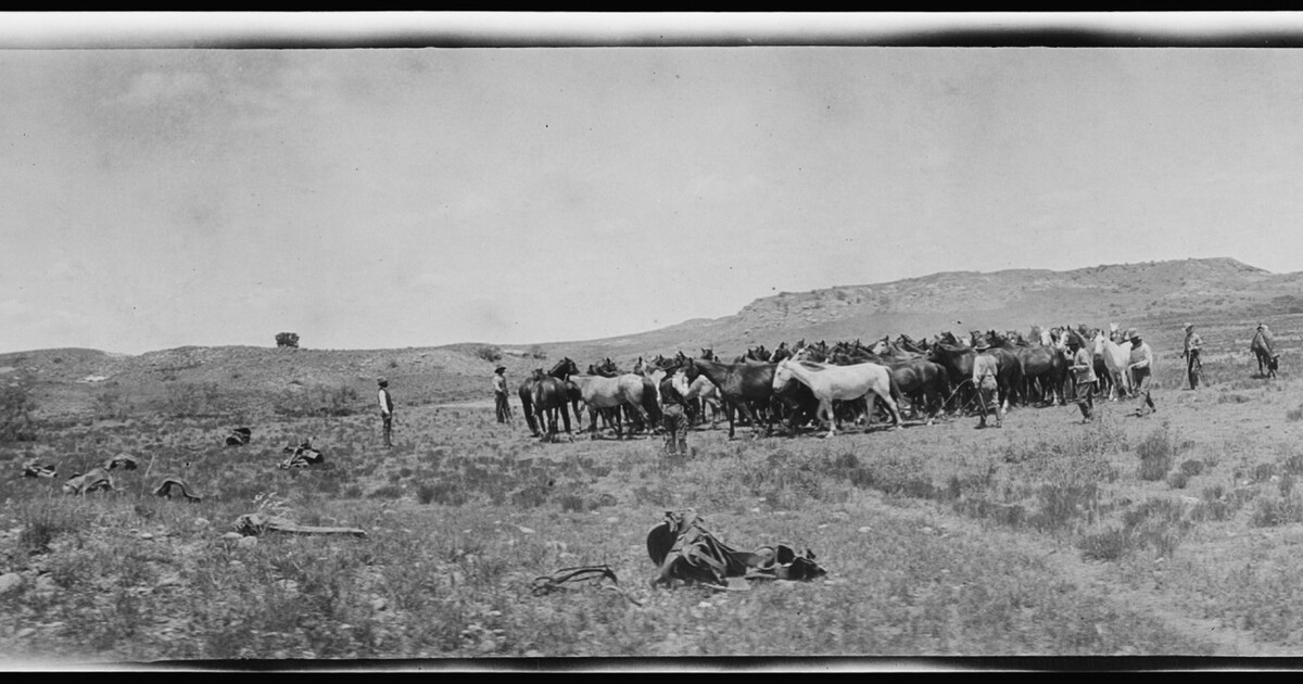 Holding the remuda with a rope corral while "catching up" the mounts ...