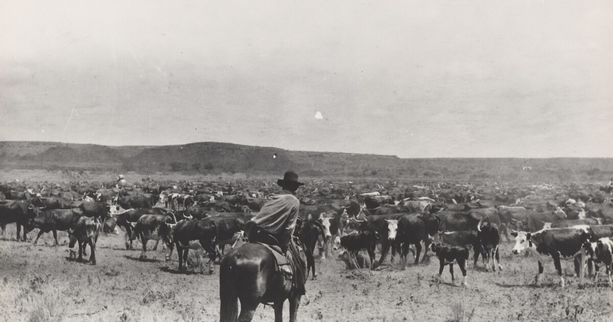 Erwin E. Smith | Amon Carter Museum of American Art